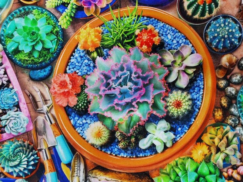 Earthy Bright Succulent Cacti Cactus Terrarium Amethyst Shells - Etsy