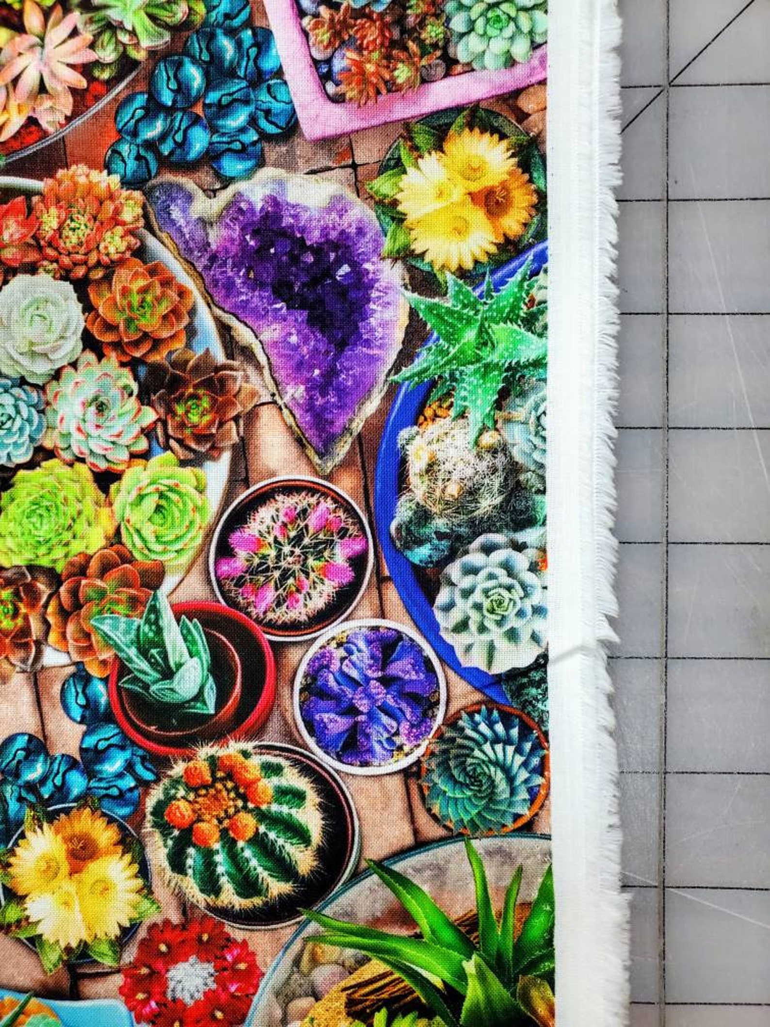 Earthy Bright Succulent Cacti Cactus Terrarium Amethyst Shells - Etsy