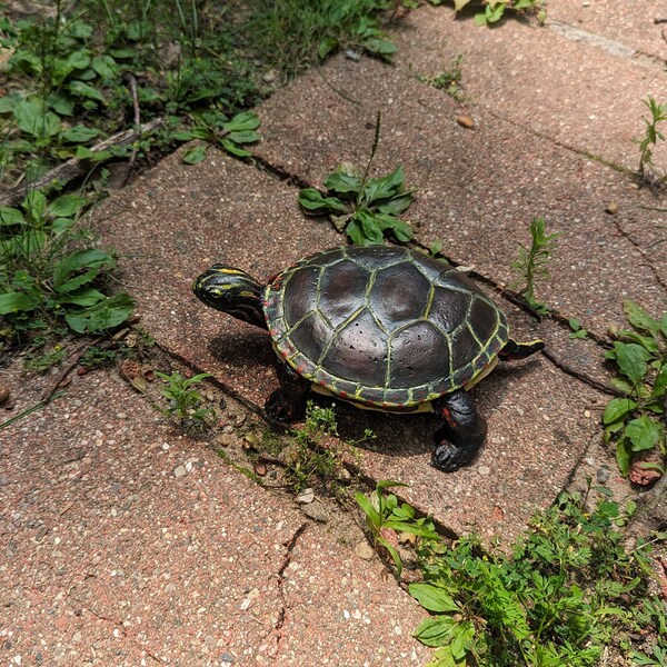 Large Garden Turtle Statue - Etsy