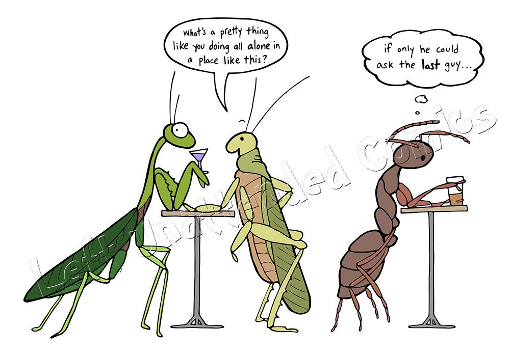 Love Greeting Card: Praying Mantis Cartoon - Etsy