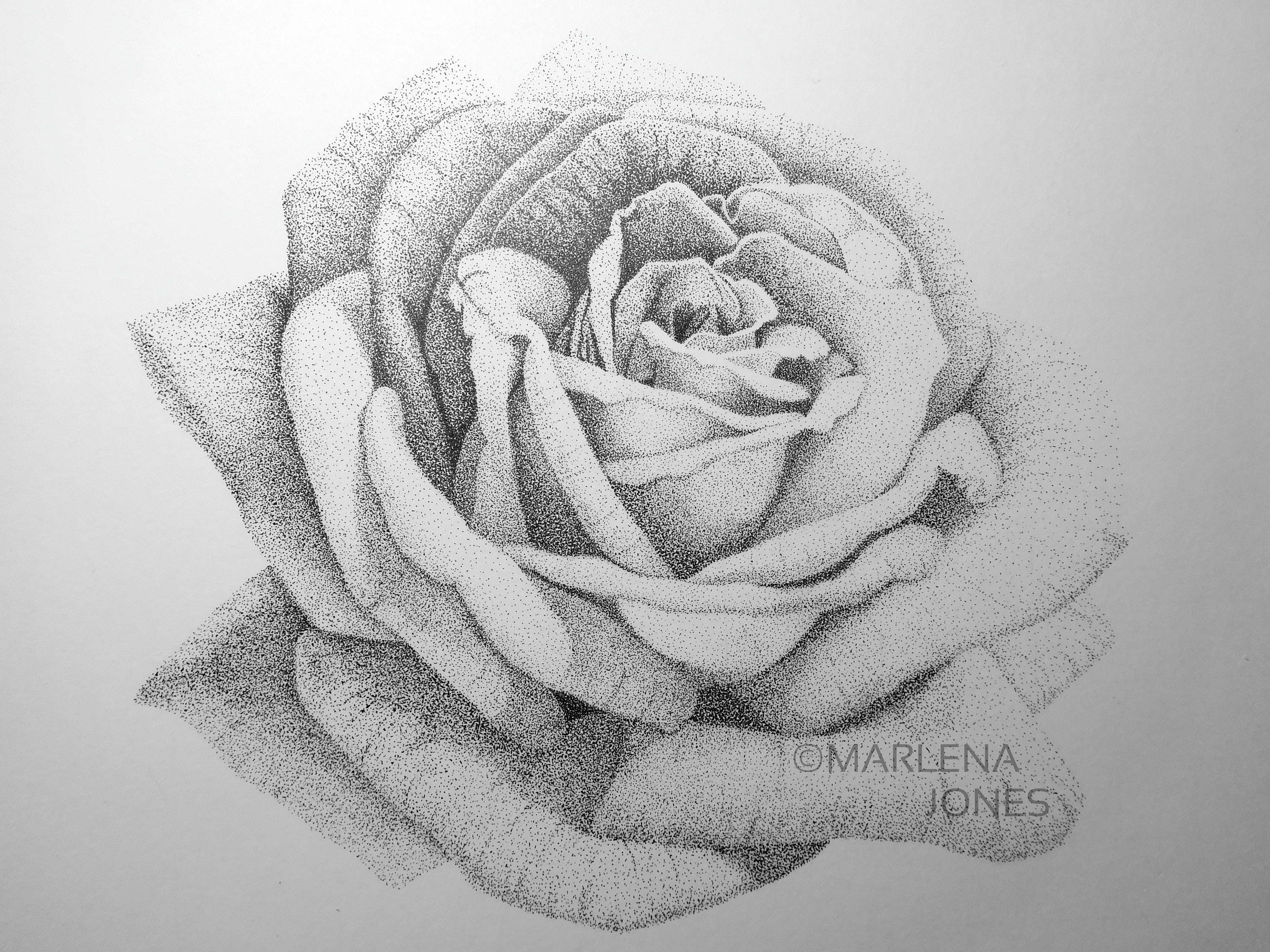 Stippling Drawing of a Rose Made With Tiny Dots - Etsy Stippling Drawing of a Rose Made With Tiny Dots - Etsy