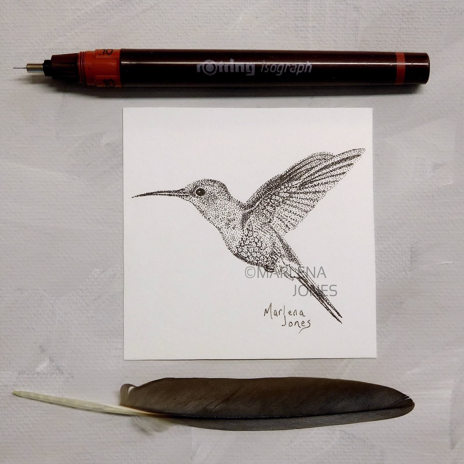 Stippling Drawing Hummingbird Pen Drawing on 3 X 3 Paper Pointillism ...