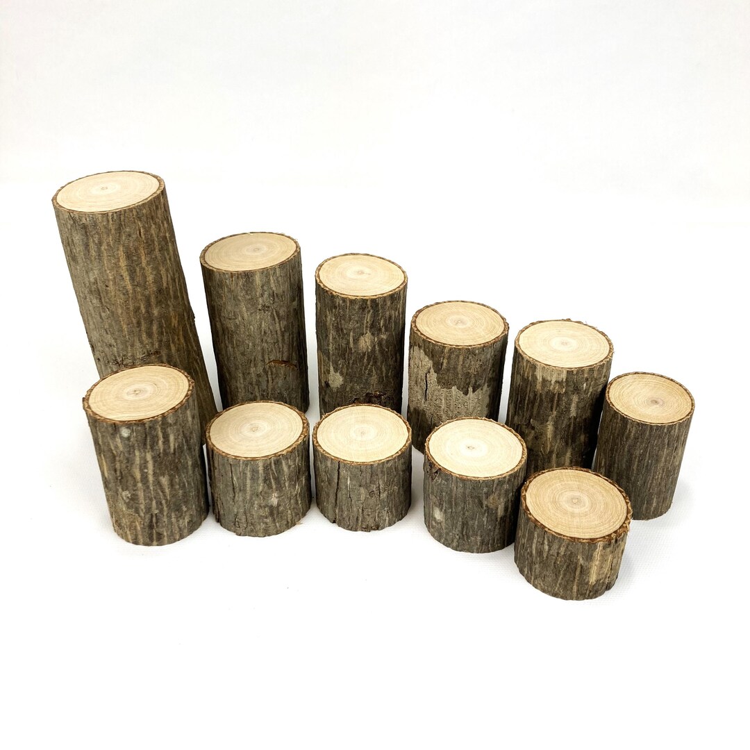 Oak Wood Stumps for Crafts Décor Wedding Display - Eleven Pieces - Etsy
