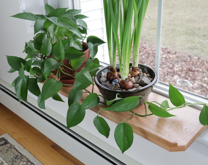 Solid Hardwood Plant Window Perch - Windowsill Extender - Multiple ...