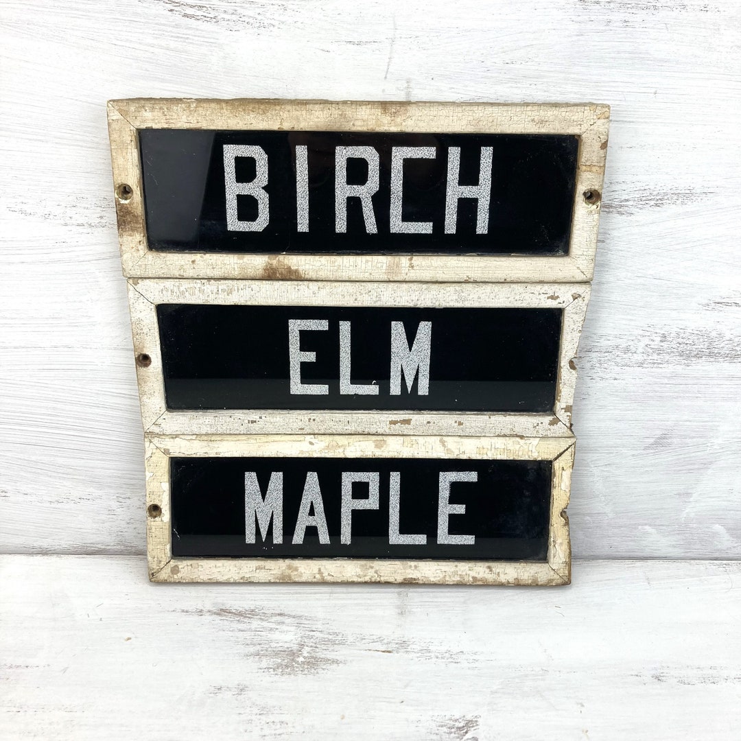 Antique Reverse Glass Painted Signs - BIRCH, ELM, MAPLE - Sold Each - Etsy