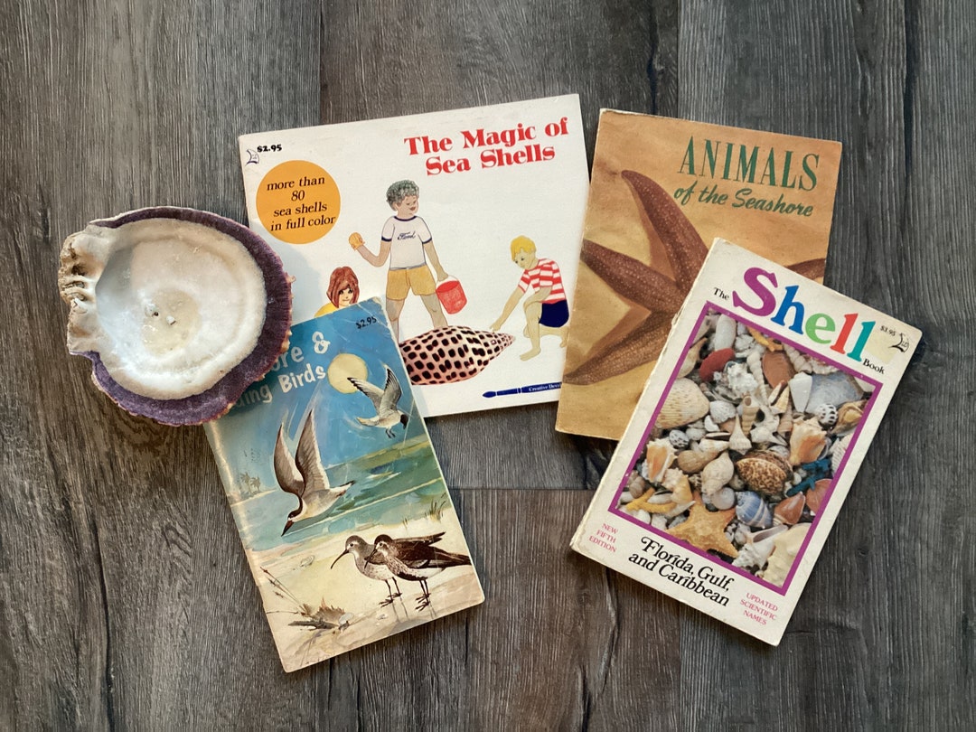 Set 1950s Shells and Animals at Seashore, 1950s Animals of the Seashore ...