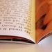 My Life in Masturbation: A Book - Etsy