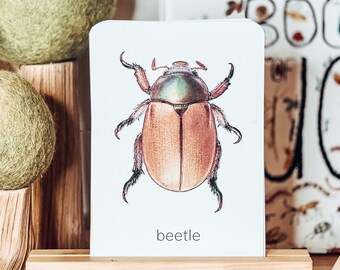 Insect Dot Marker Sheets Montessori Printable Do-a-dots - Etsy