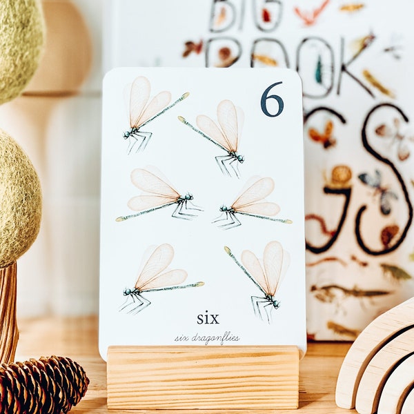 Number Flashcards - Etsy