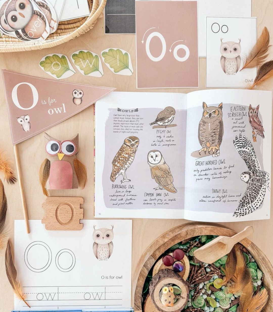 Alphabet Learning Pack Letter O | Alphabet Learning for Preschool Kids ...