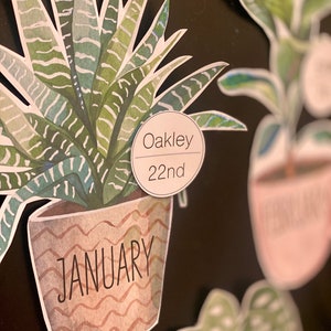 BOHO BOTANY Birthday Display, Birthday Chart, Plants Themed Classroom ...