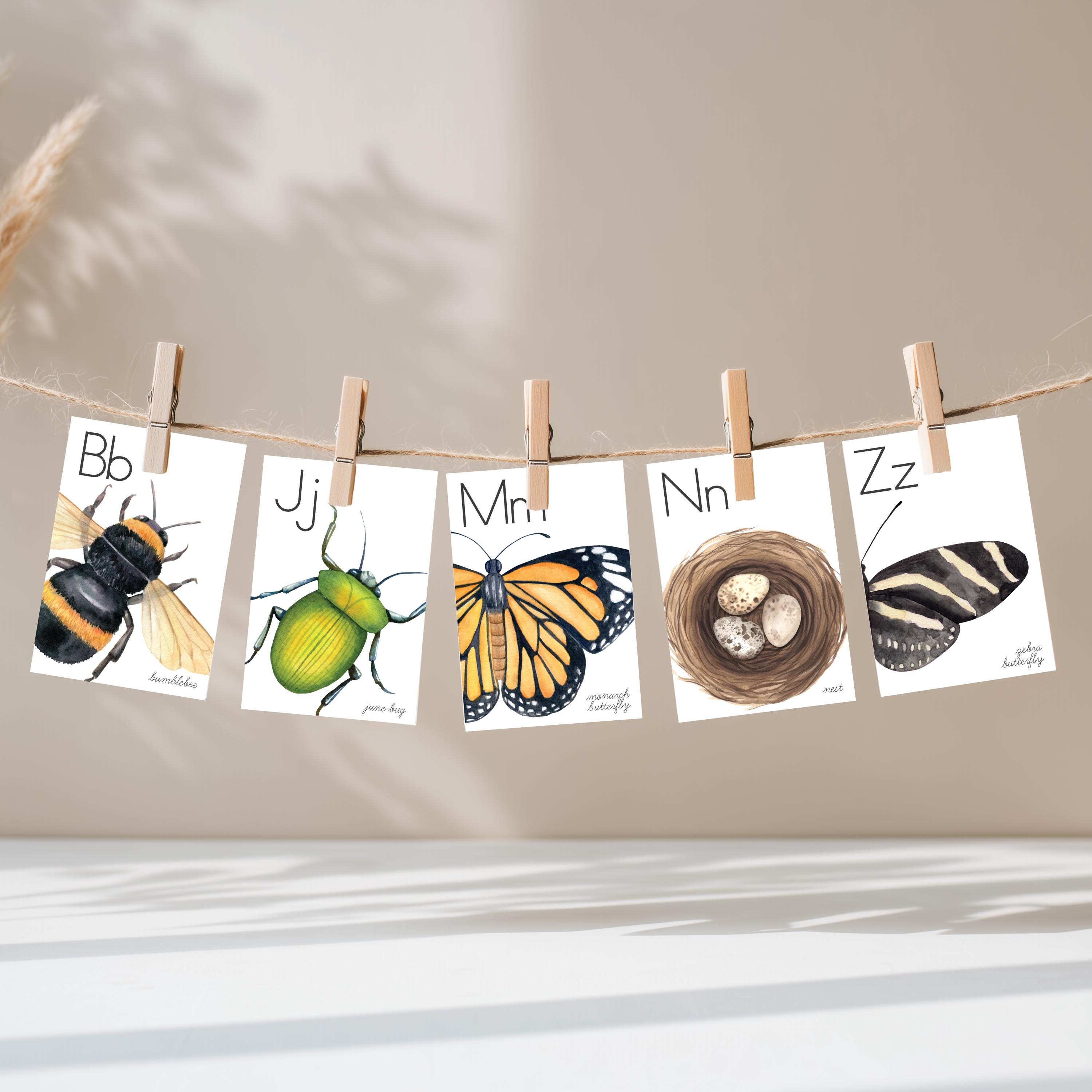 Alphabet Nature Flashcards, Alphabet, Nature, Flashcards, Digital DIY ...