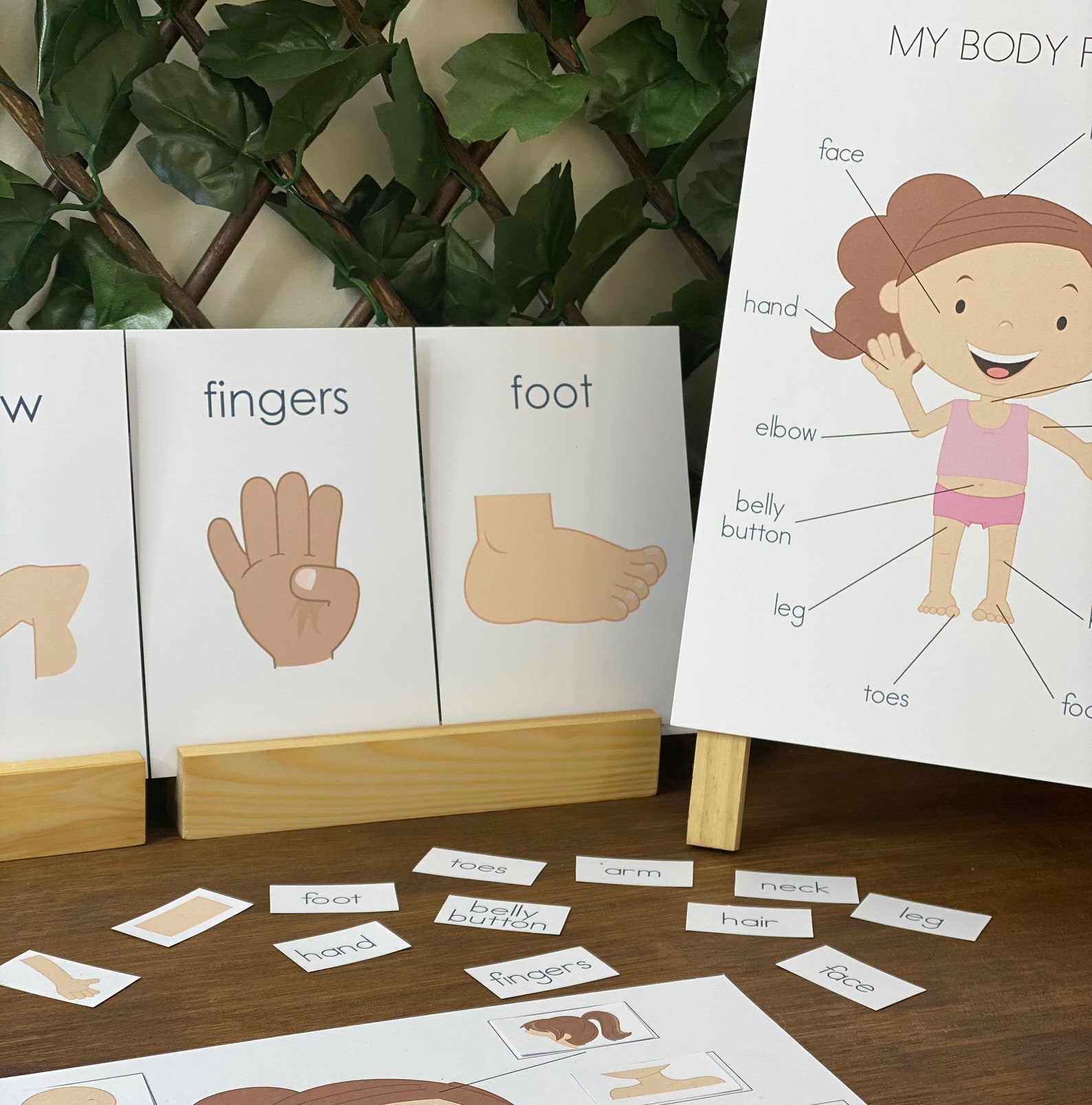 My Body Flash Cards Boy and Girl Body Parts School | Etsy UK