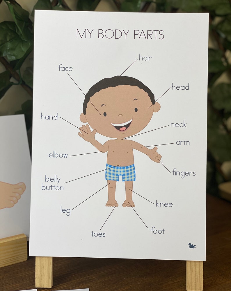 My Body Parts Posters My Body Preschool Activities Etsy My Body Parts Posters My Body Preschool Activities Etsy