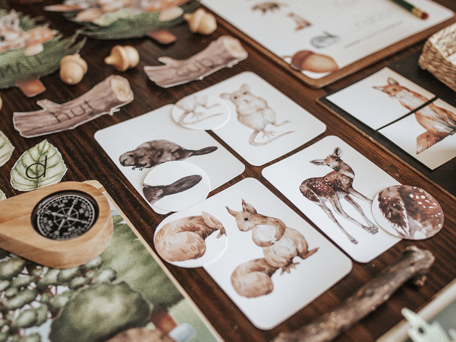 Forestry Morning Basket Activities, Homeschool Resources, Morning ...