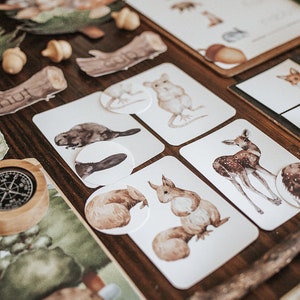 Forestry Morning Basket Activities, Homeschool Resources, Morning ...