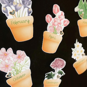 Birthday Month Flower Birthday Display | Birthday Chart, Flowers ...