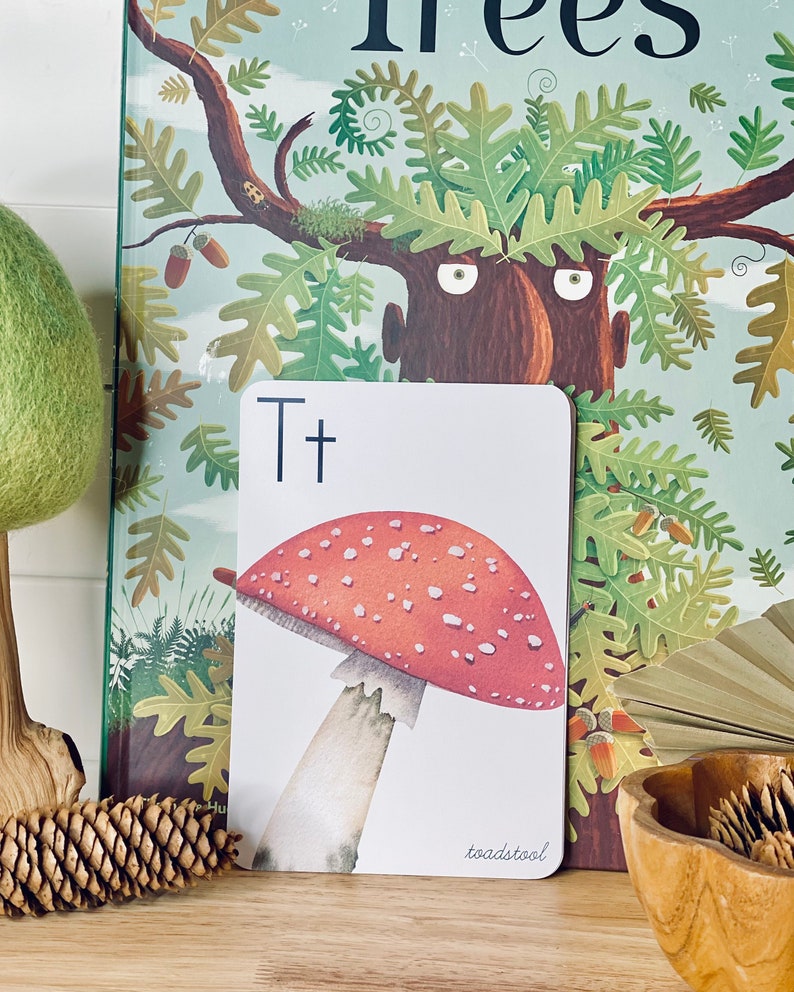 Alphabet Nature Flashcards Alphabet Nature Flashcards | Etsy