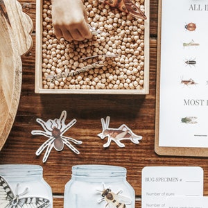 Entomology Lab Dramatic Play Set | Dramatic Play Set | Pretend Play ...