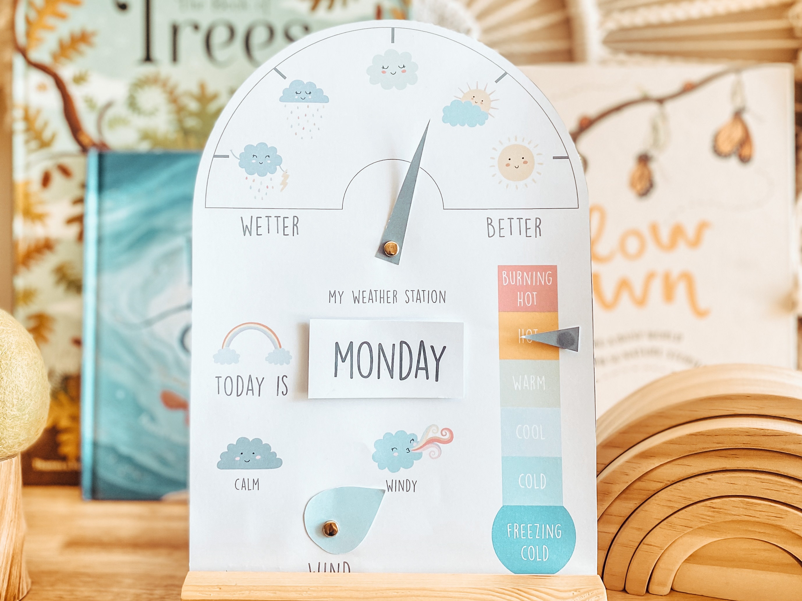 Weather Station Montessori Preschool Activities Children | Etsy Australia