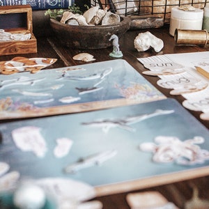 Oceanography Morning Basket Activities, Homeschool Resources, Morning ...