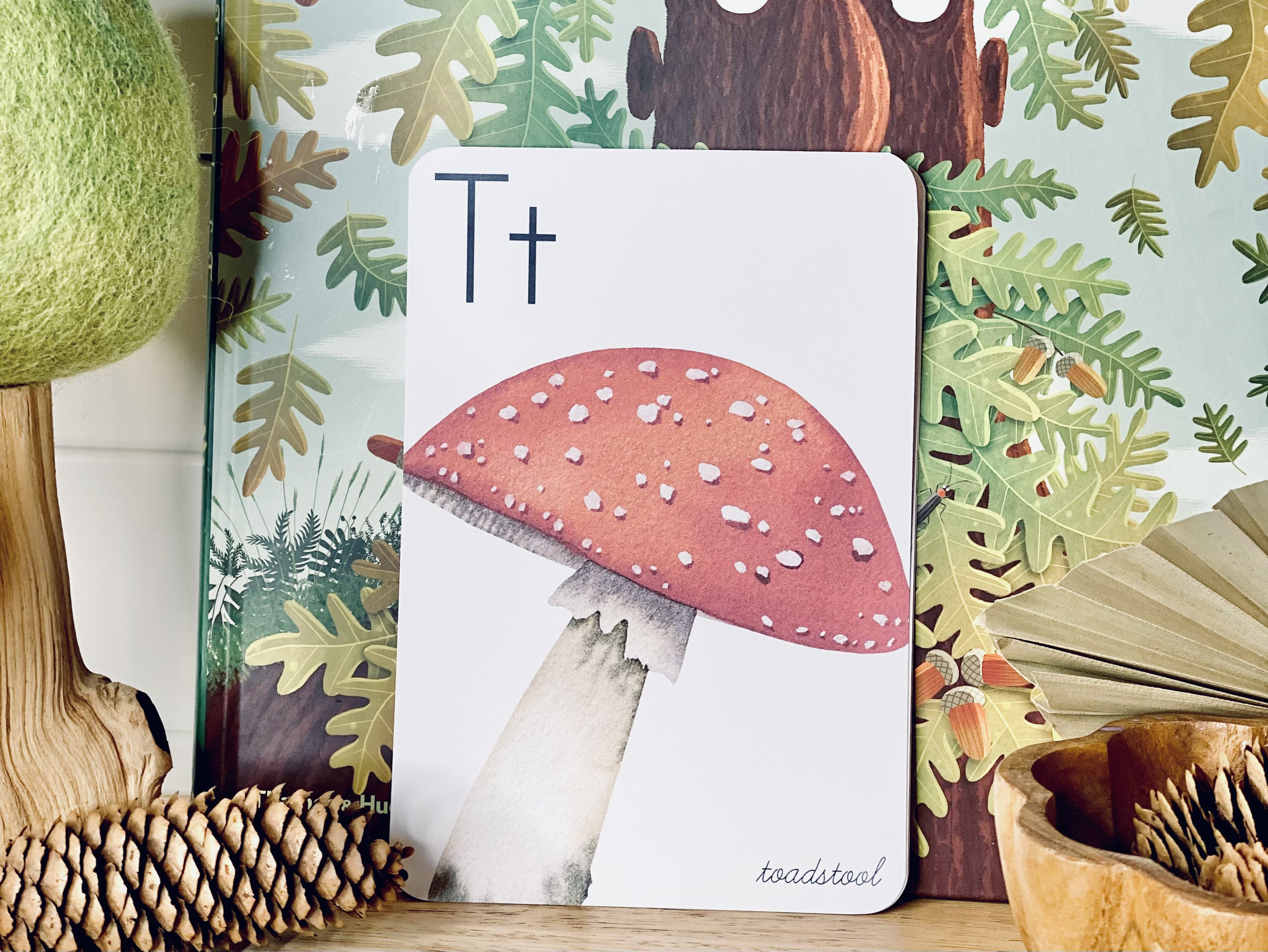 Alphabet Nature Flashcards Alphabet Nature Flashcards | Etsy