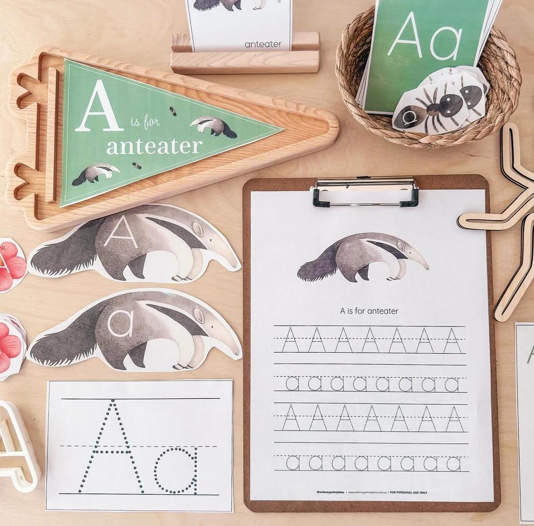 Alphabet Learning Pack Letter A | A is for Anteater | Alphabet Learning ...