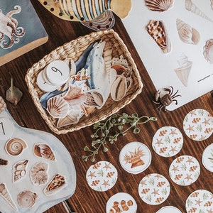 Oceanography Morning Basket Activities, Homeschool Resources, Morning ...