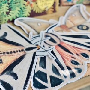 Large Moth Cut Outs, Moth Wall Decor, Printable, Nature Printables ...