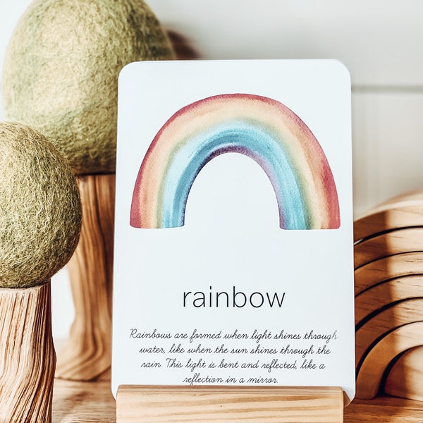 Anatomy Flashcards - Etsy