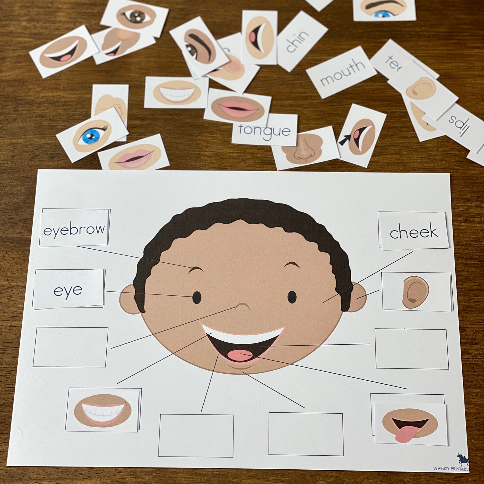 My Body Activities For Kindergarten My Body Activities For Kindergarten