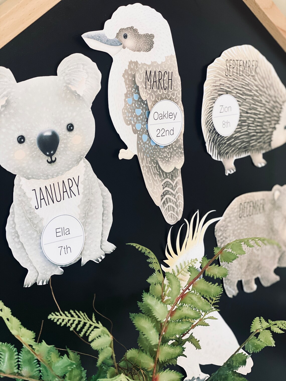 AUSTRALIAN ANIMAL Birthday Display Birthday Chart - Etsy