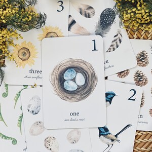 Nature Number Flashcards, Numbers 1-10 , Nature, Counting Flashcards ...