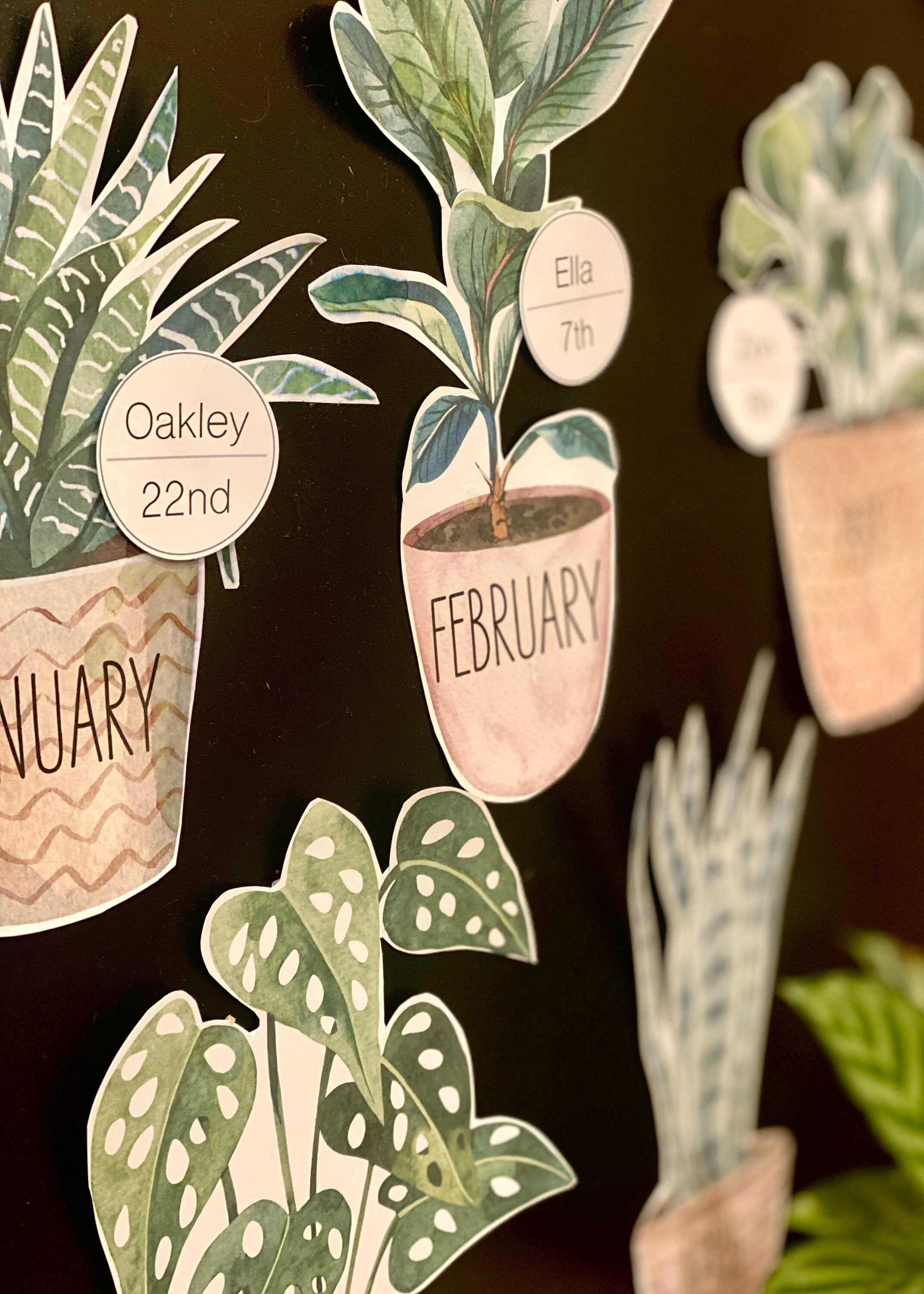 BOHO BOTANY Birthday Display Birthday Chart Plants Boho - Etsy Australia