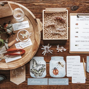 Entomology Lab Dramatic Play Set | Dramatic Play Set | Pretend Play ...