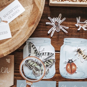 Entomology Lab Dramatic Play Set | Dramatic Play Set | Pretend Play ...