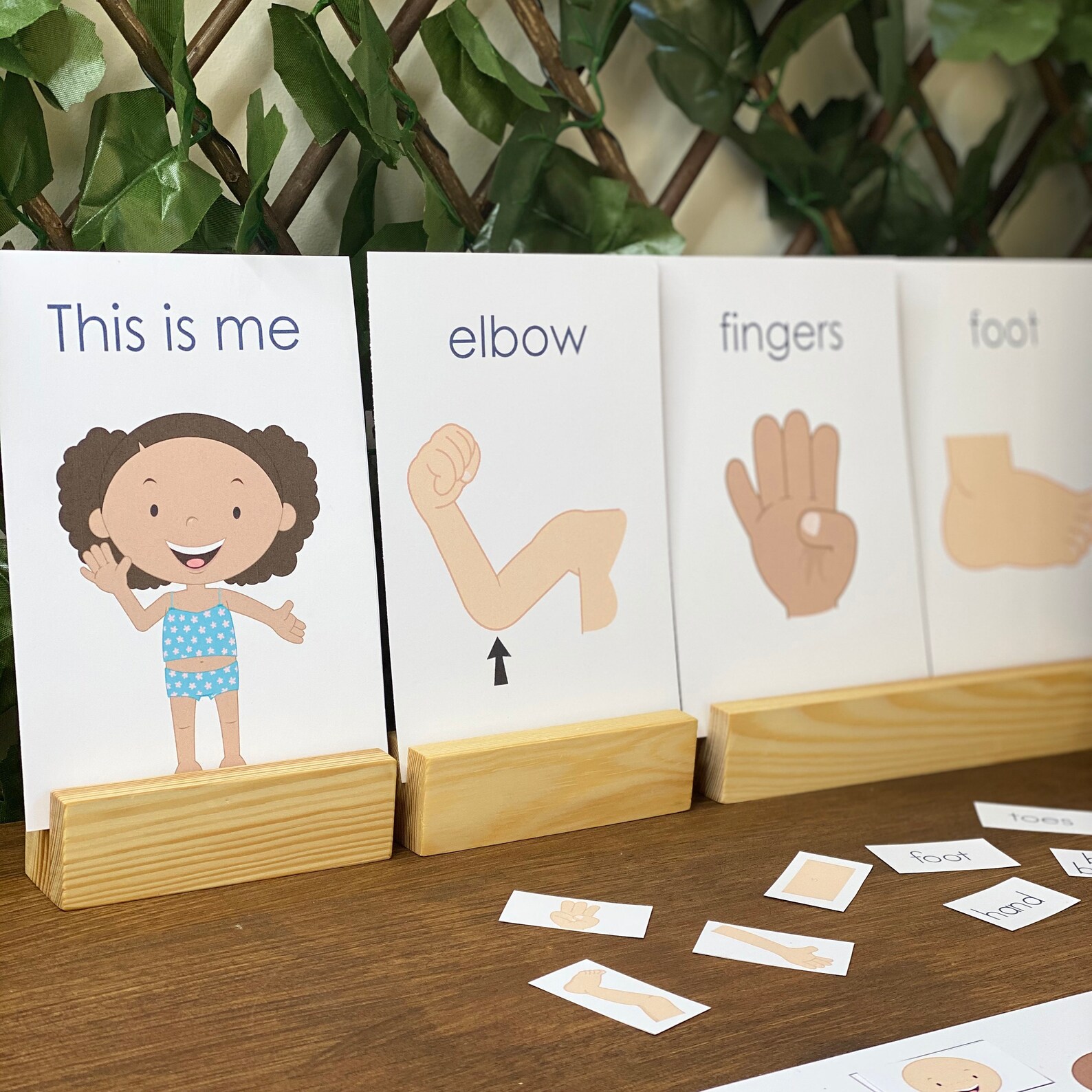 My Body Flash Cards Boy and Girl Body Parts School - Etsy UK