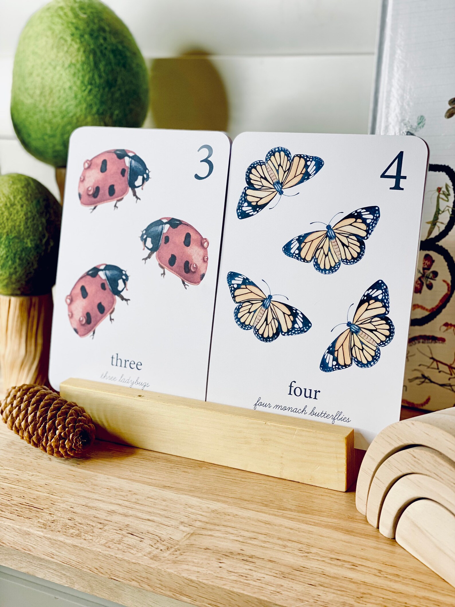 Minibeast Number Flashcards Bugs Insects Nature Counting - Etsy
