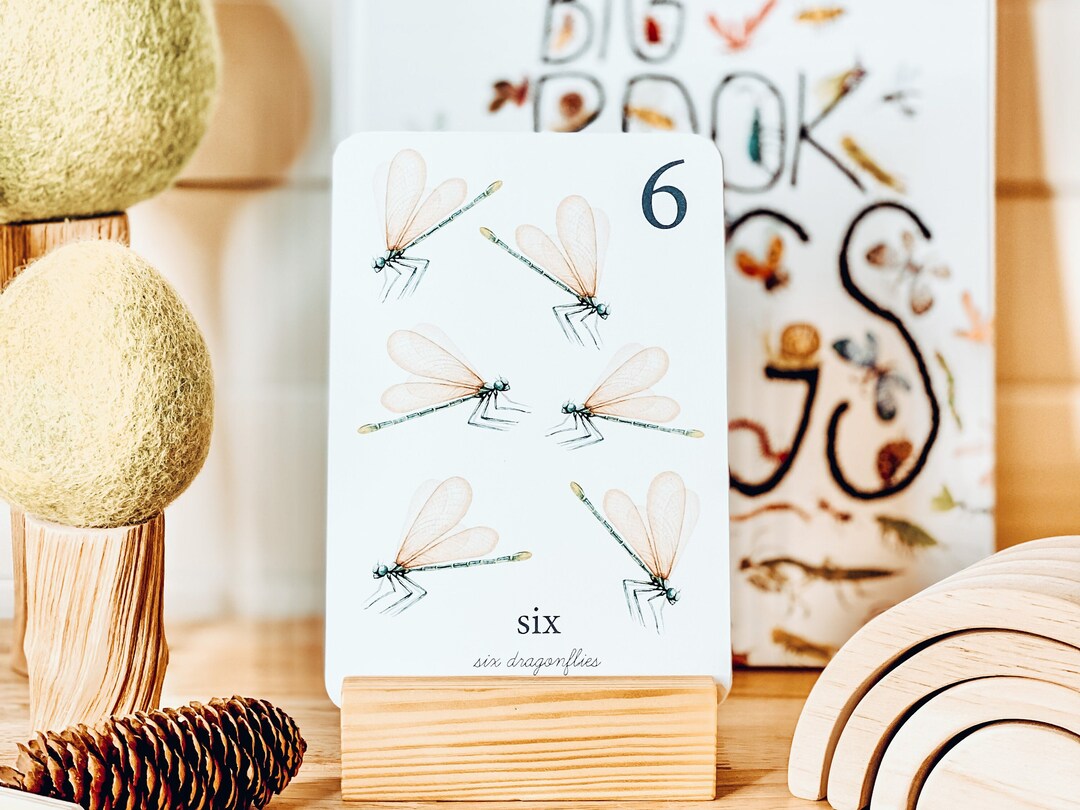 Minibeast Number Flashcards, Bugs, Insects, Nature, Counting Flashcards ...