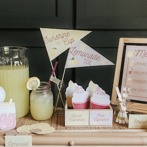 Lemonade Stand Dramatic Play Set | Dramatic Play Set | Pretend Play ...