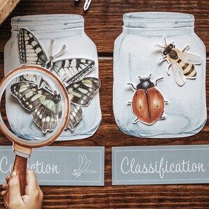 Entomology Lab Dramatic Play Set | Dramatic Play Set | Pretend Play ...
