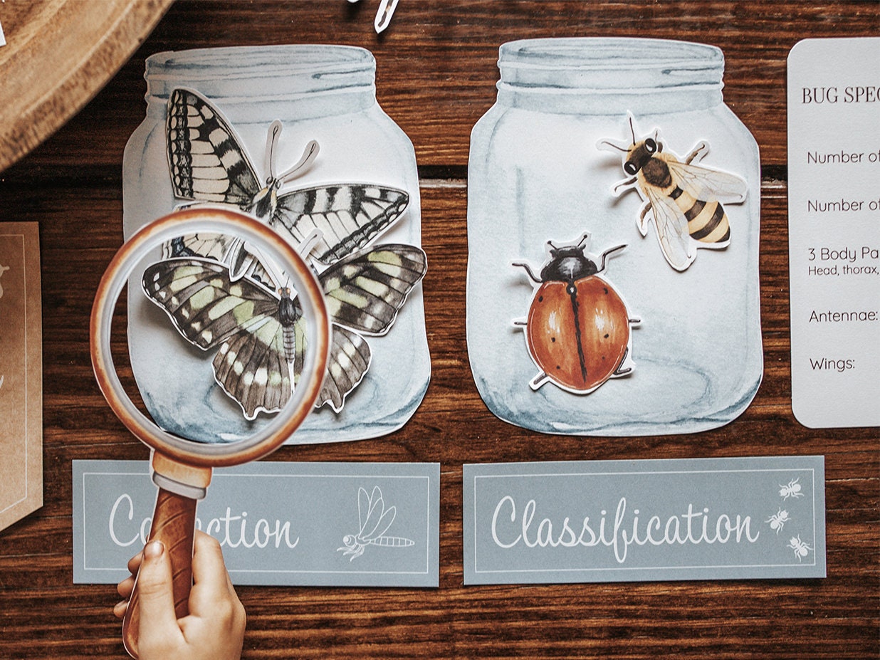 Entomology Lab Dramatic Play Set | Dramatic Play Set | Pretend Play ...