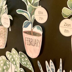 BOHO BOTANY Birthday Display, Birthday Chart, Plants Themed Classroom ...