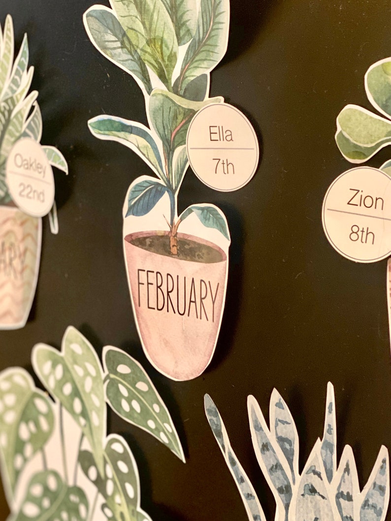 BOHO BOTANY Birthday Display, Birthday Chart, Plants Themed Classroom ...