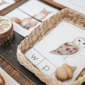 Forestry Morning Basket Activities, Homeschool Resources, Morning ...