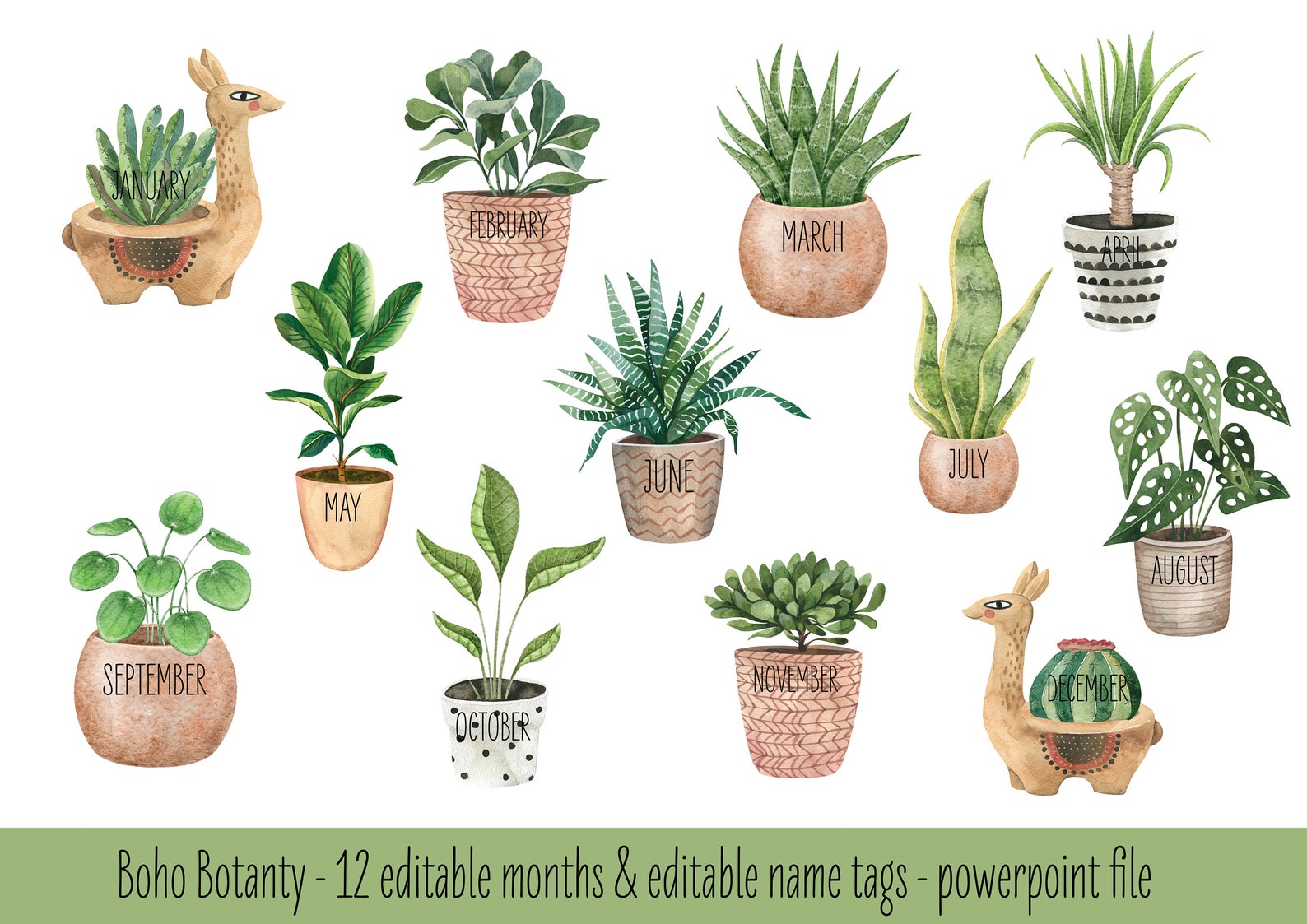 BOHO BOTANY Birthday Display, Birthday Chart, Plants Themed Classroom ...
