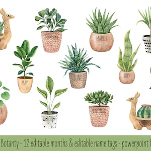 BOHO BOTANY Birthday Display, Birthday Chart, Plants Themed Classroom ...