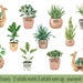 BOHO BOTANY Birthday Display Birthday Chart Plants Boho - Etsy