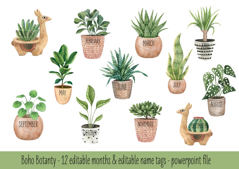 BOHO BOTANY Birthday Display Birthday Chart Plants Boho - Etsy