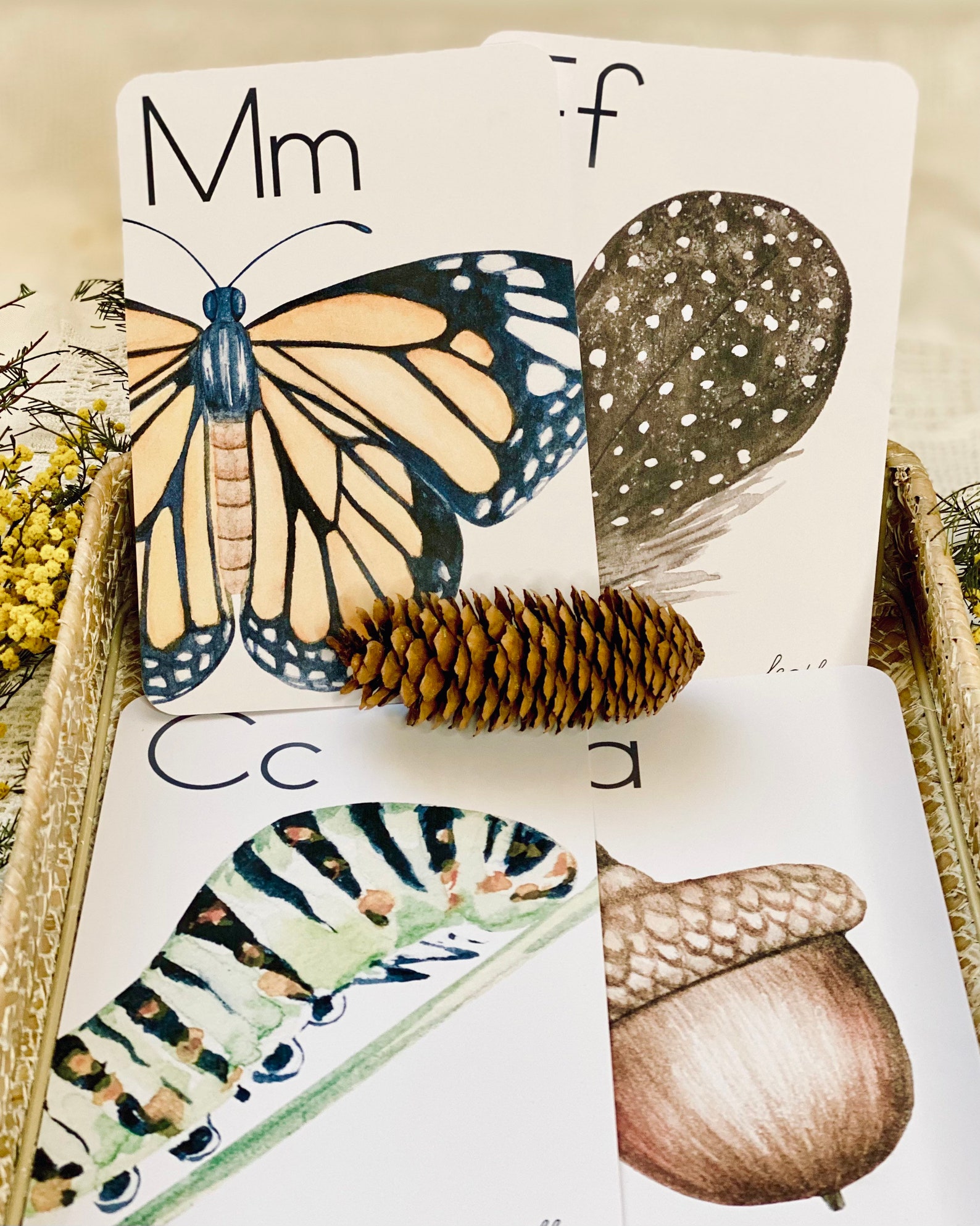 Alphabet Nature Flashcards, Alphabet, Nature, Flashcards, Digital DIY ...